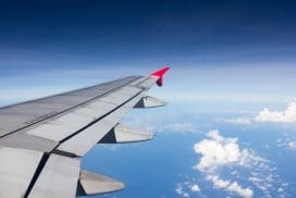 Wing Flaps: How Do They Function and What Is Their Purpose?